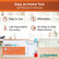 Immunochemical Fecal Occult Blood iFOB Rapid Home Test – us.indicaid.com